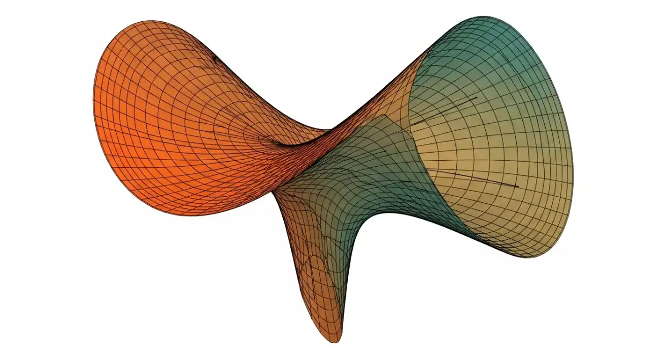 Hyperbolic Shapes Explained: Geometry Meets Real Life - Floral Loft SAC
